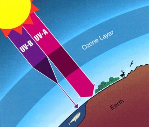 Razele ultraviolete sunt cauza melanomului care afectează 15% din peşti ...